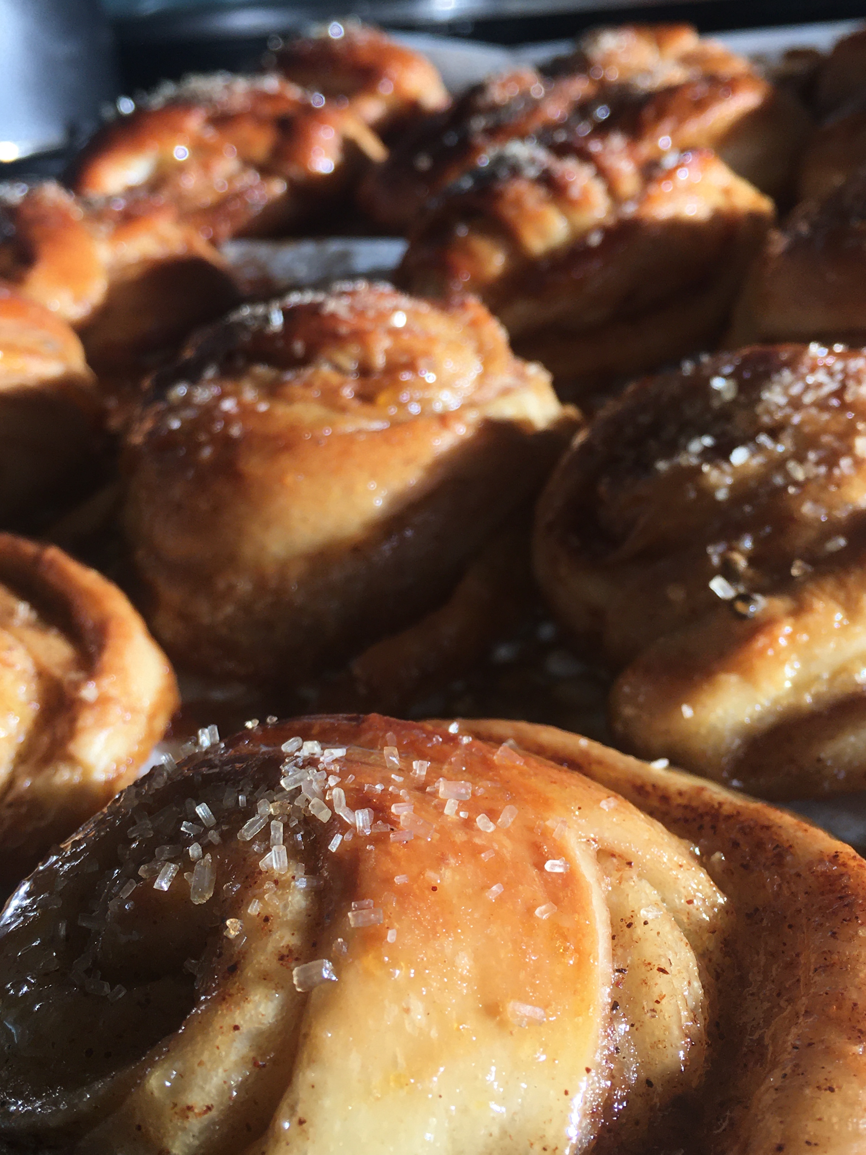 Sourdough Workshops – Bramble Bakes